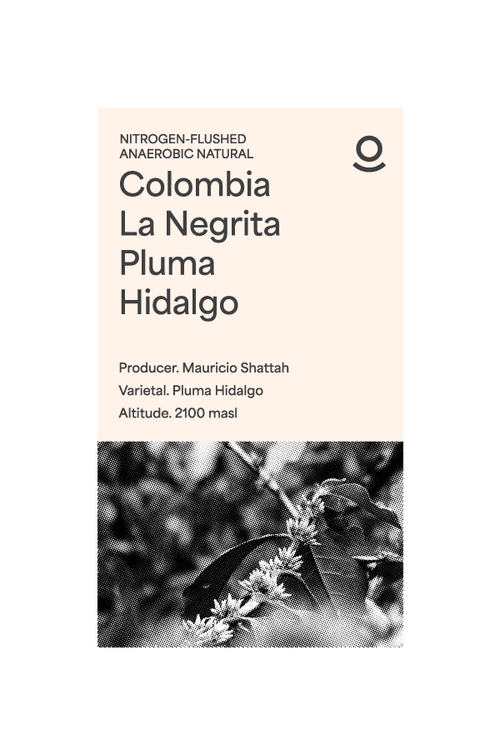 Colombia La Negrita Pluma Hidalgo (Green Beans)